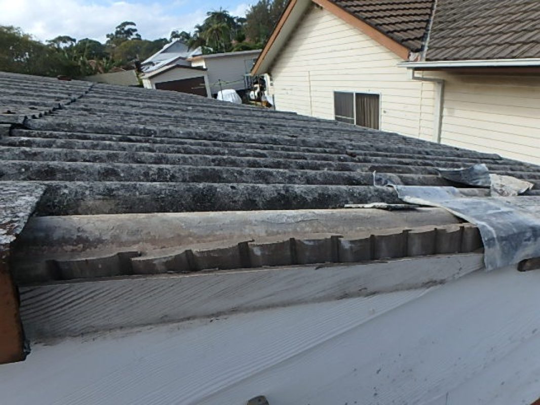 Roof Impact - Collaroy Plateau, NSW - SHBR Group
