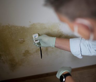 Services - SHBR Group